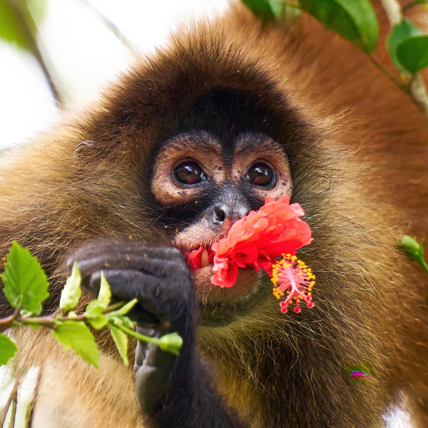 About – Geoff O'Connor – Nature Photography